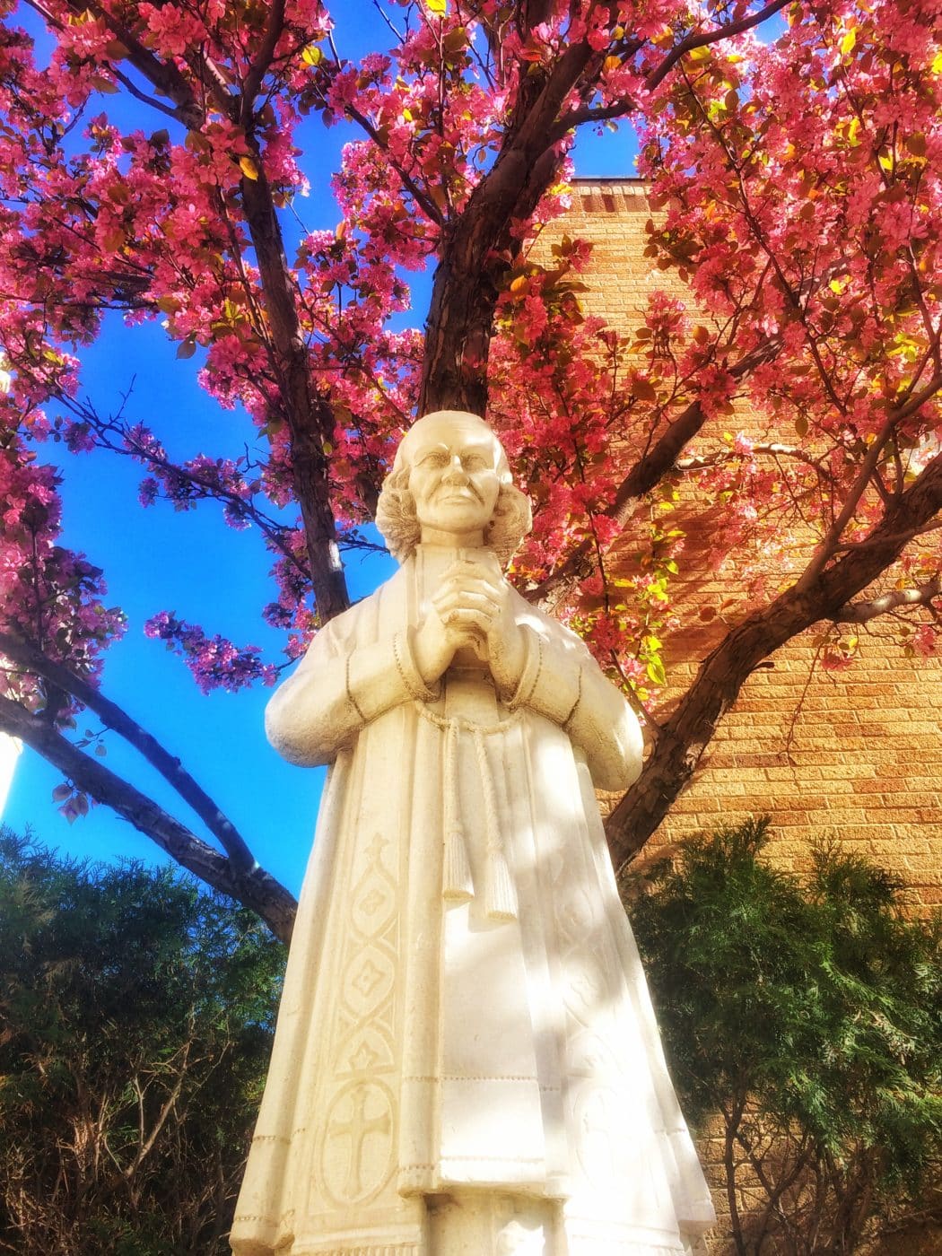 St. John Vianney | The Basilica of Saint Mary